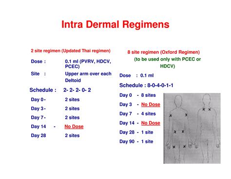 Guideline Rabies Prophylaxis Ppt Pdf Pdf