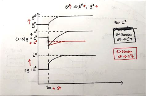 Lecture 13 Steady State Equilibrium Flashcards Quizlet