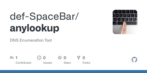 GitHub Def SpaceBar Anylookup DNS Enumeration Tool