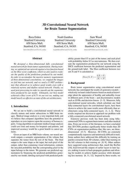 Solution D Convolutional Neural Network For Brain Tumor Segmentation