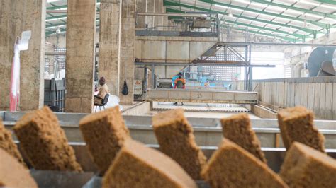 Rubber Dmc Global Pte Ltd