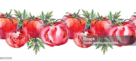 흰색 배경에 고립 된 원활한 국경 수채화 토마토와 녹지 파슬리 샐러드를 위해 손으로 그린 달콤한 음식 요리 책 메뉴에 대한 붉은 조각 야채 카페 스티커 스케치북용 아트