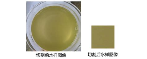 【数据挖掘实战】——基于水色图像的水质评价lm神经网络和决策树 阿里云开发者社区