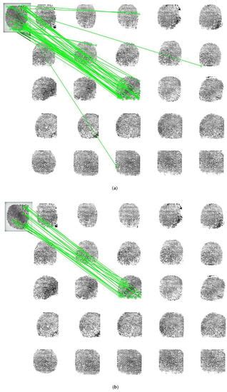 Robust Fingerprint Minutiae Extraction And Matching Based On Improved