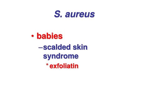 Ppt Pyogenic Coccus Powerpoint Presentation Free Download Id 3589406