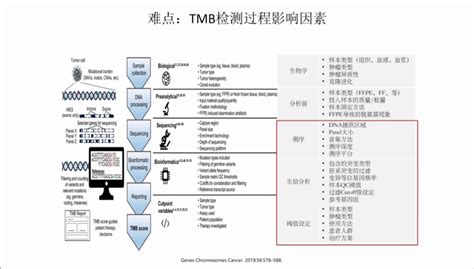肿瘤ngs大panel检测的标准化及研究进展（二）