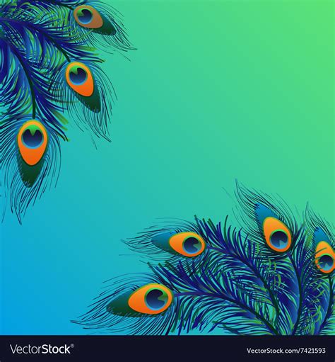 Background Design With Peacock Feathers Royalty Free Vector