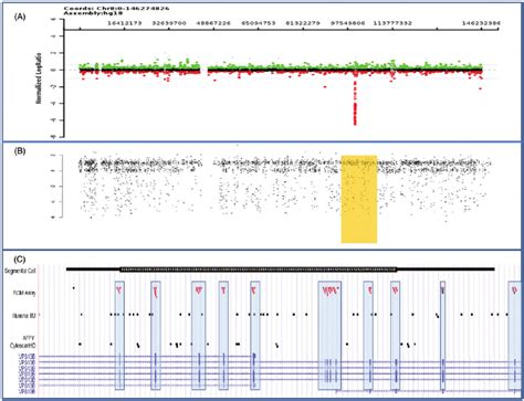 Comparison Of Different Array Cgh Platforms A Array Results For Download Scientific Diagram