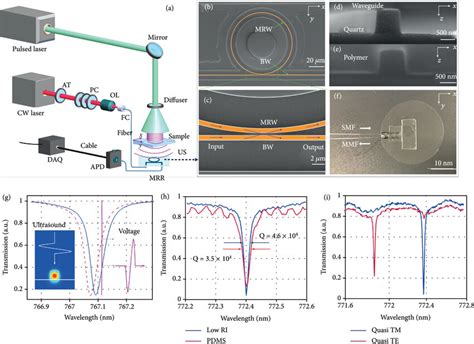 schematic of the mrr based 3d pact system and the mrr sensor a