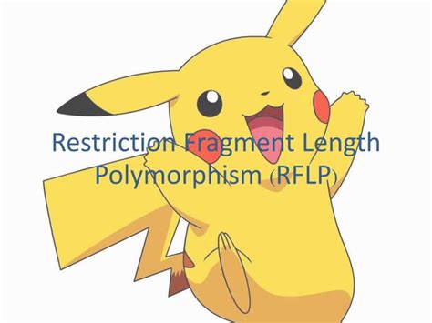 Restriction Fragment Length Polymorphism Rflp Ppt