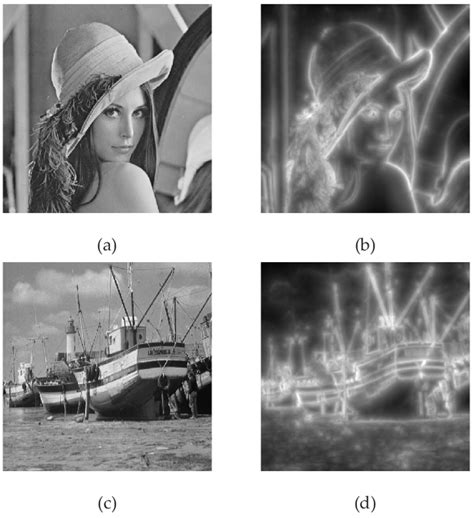 Connection Model Of The Pcnn Neurons Download Scientific Diagram