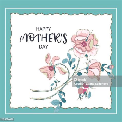 흰색 바탕에 골드 프레임에 장미 엉덩이와 아름 다운 야생 장미 파스텔 색상의 꽃 꽃다발 클로즈업 개화기에 대한 스톡 벡터 아트 및 기타 이미지 Istock