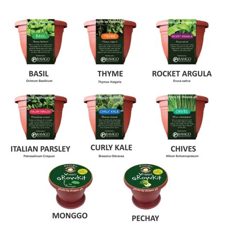 Ramgo Grow Kit Basil Rocket Aragula Italian Parsley Lazada Ph