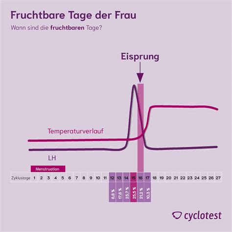 Fruchtbare Tage Nach Periode Wann Ist Der Beste Zeitpunkt Sieu Thi