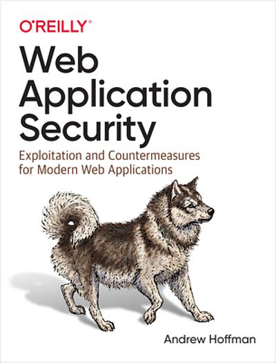 Web Application Security Exploitation And Countermeasures For Modern Web Applications