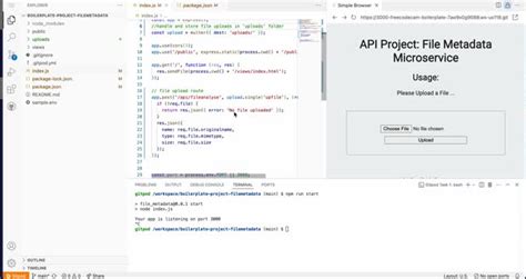 Finished A File Upload Metadata Information Api While Completing