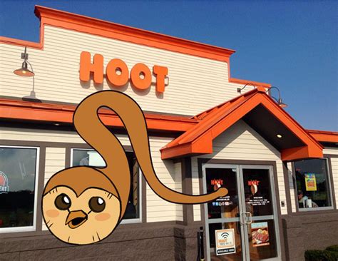 Hooters Owl