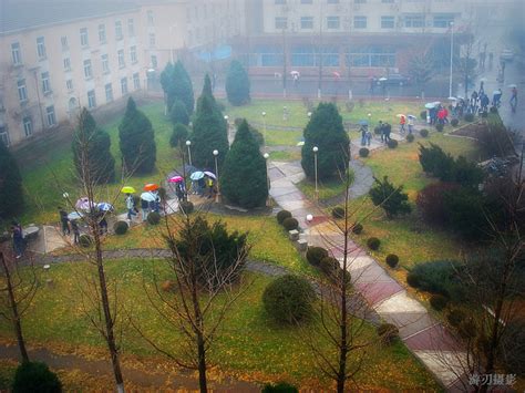 崇山校区雨中校园 辽宁大学马克思主义学院