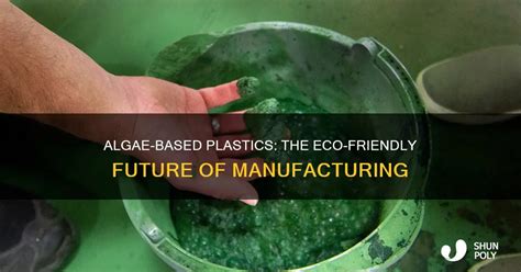 Algae Based Plastics The Eco Friendly Future Of Manufacturing Shunpoly