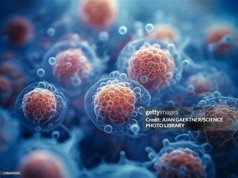 Human Cells Secreting Exosomes Illustration High Res Vector Graphic