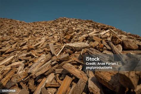 난방에 사용되는 목재 칩으로 뿌리 덮개 숲 잔류물 바이오 매스 보일러를위한 나무 칩 입자의 더미 아래에서 볼 수 있습니다 0명에 대한 스톡 사진 및 기타 이미지 Istock