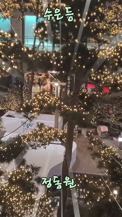 정동원 💘 수은등 인천공항 Youtube