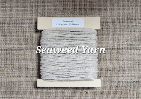 Seaweed Macro Algae Mini Skeins Yarn Natural 35 Yards Great For