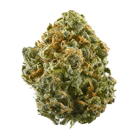 Mint Lemonade Weed Strain Information Leafly