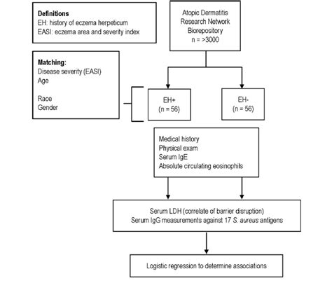 Flow Chart Of Study Design Matching Criteria And Metrics Easi Eczema