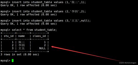 Mysql表的约束 Csdn博客