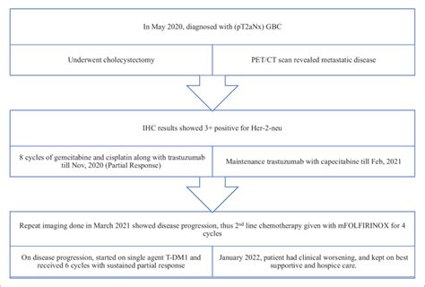 Clinical Timeline Of Case Report Download Scientific Diagram