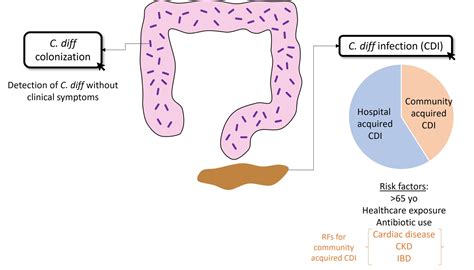 Chalk Talks Archives Teachim