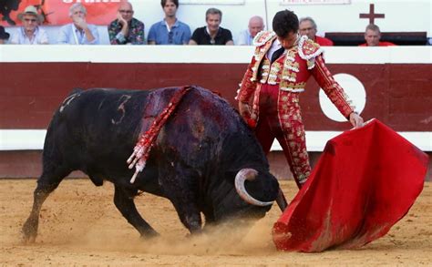 Daniel Luque En Su Mejor Momento