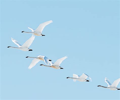 Data Migration With Quobyte Quobyte Blog