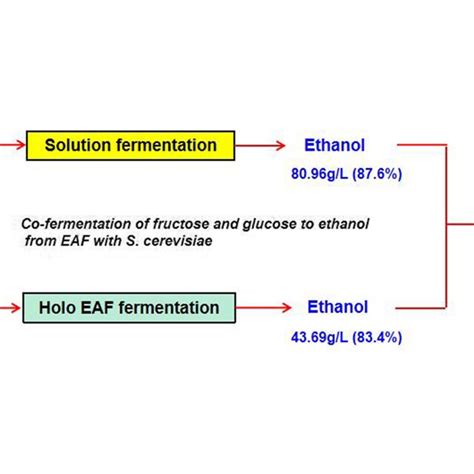 Production Process Route Of Eaf Ethanol Product Download Scientific