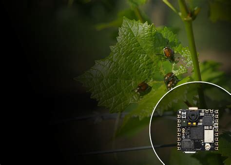 Arduino Based Insect Counter In Vineyards Other Projects Hiveeyes