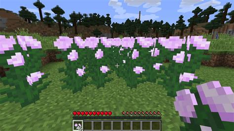 What Is A Peony Minecraft Flowers Youtube