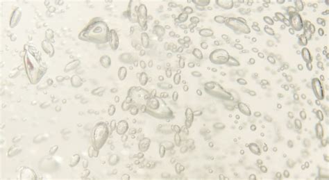 Toxic Load Lets Talk About It Biologi