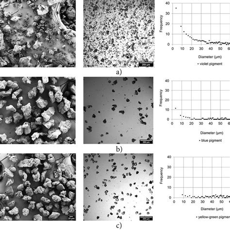 Sem Micrographs Left Cfm Micrographs Middle And Size Distribution