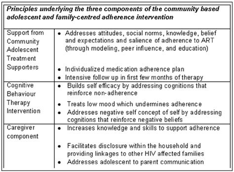 Three Components Of The Community Based Intervention Download