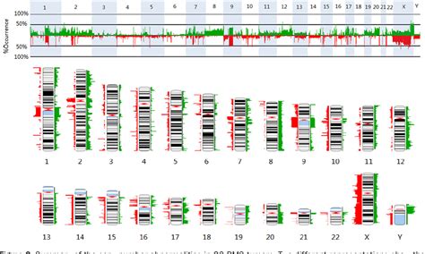 Figure 2 From Chromosomal And Genetic Imbalances In Chinese Patients