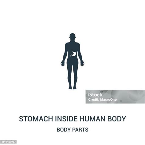 몸 부분 컬렉션에서 인간의 신체 아이콘 벡터 속에서 위장 인체 개요 아이콘 벡터 일러스트 레이 션 내부 얇은 라인 위장 건강관리와 의술에 대한 스톡 벡터 아트 및 기타