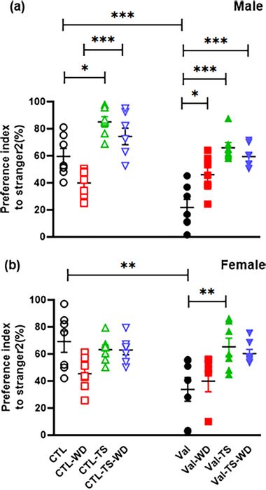 Novel Phase Of Three‐chamber Social Test The Graphs Show The Download Scientific Diagram