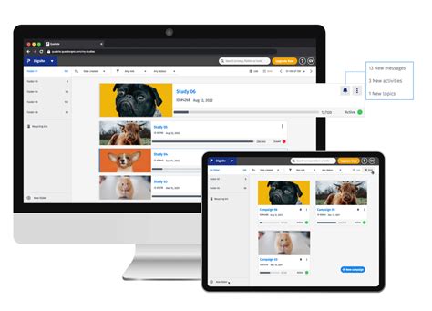 Digsite Agile Qualitative Research Questionpro