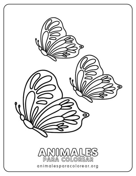 Plantilla De Mariposa Para Colorear