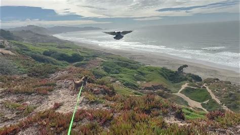 Adventures Of Java Episode 1 Youtube