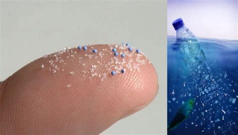 Your Bottled Water Contains Microplastics Clean Future