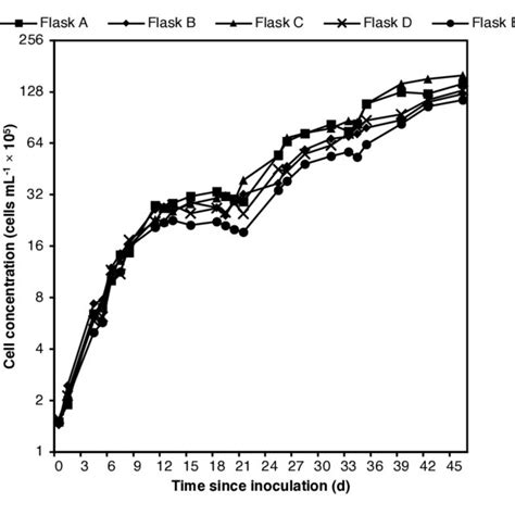 Logarithmic Growth Curves For The Five Experimental Cultures Of