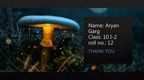 Spore Formation In Rhizopus Fungi Pptx