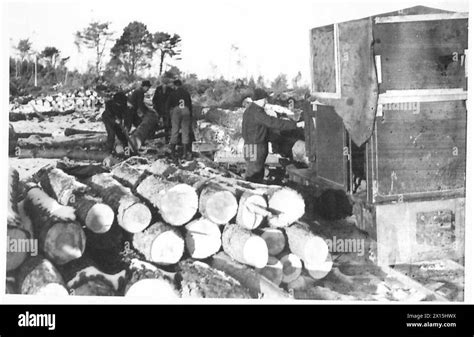 Newfoundland Loggers In Scotland At Carbridge A Light Railway